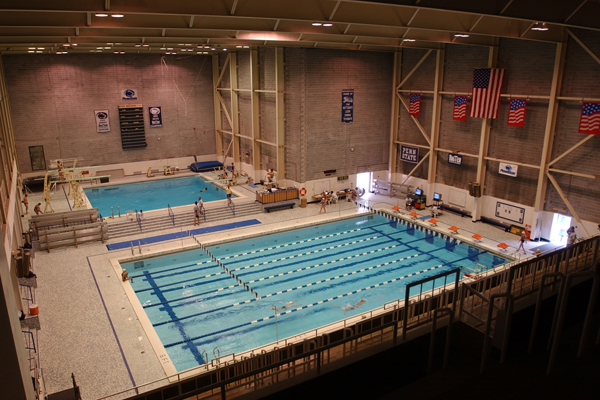 Ceppa Named New Diving Coach