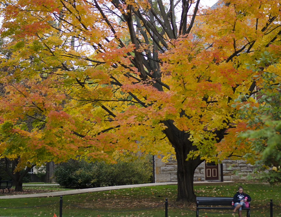 Senior Column: How I'll Remember Penn State