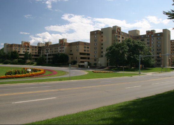 GN, McKinney Properties To Allow Limited State Patty's Parties | Onward ...