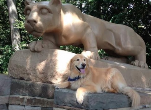 We Want To Meet Your State College Pets!