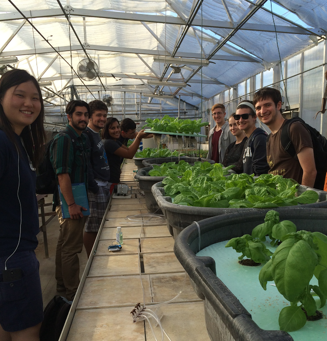 Redifer Local Foods Night To Feature Student-Grown Produce