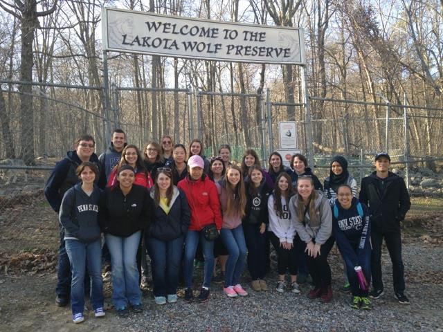 Get Wild With The Small And Exotic Animal Club