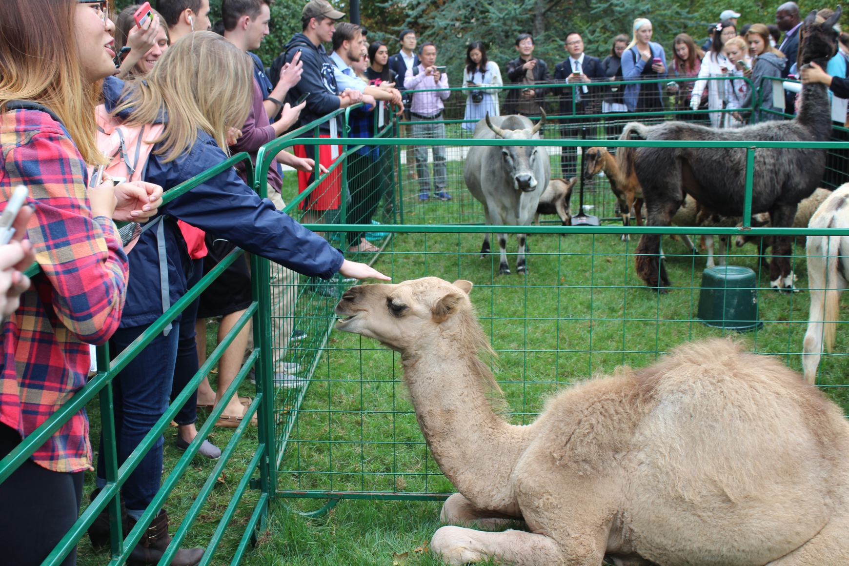 The Anatomy Of Student Activity Fees: Standing Allocations