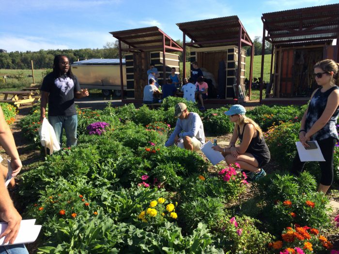 Student Farm Club Sparks Growth In Sustainability On Campus