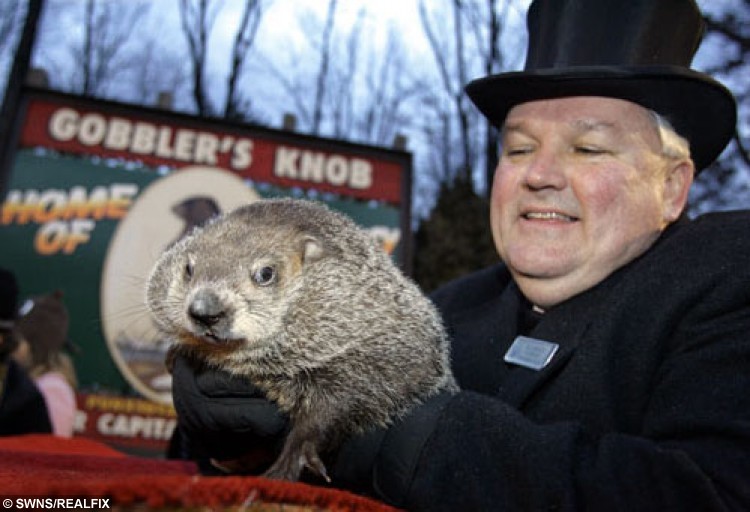 Meet Punxsutawney Phil At Café 210 Next Week