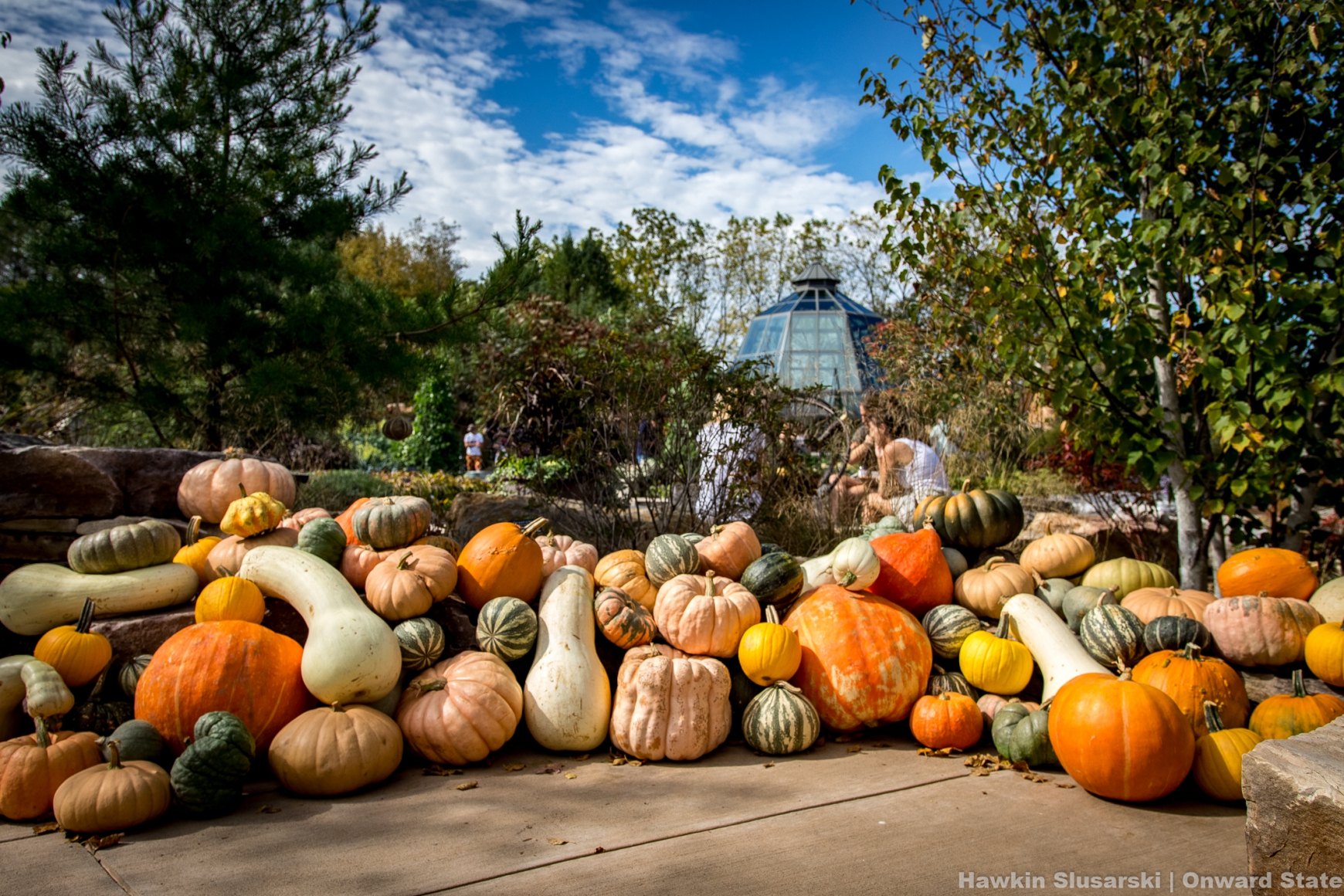 [Photo Story] Fall At The Arboretum | Onward State