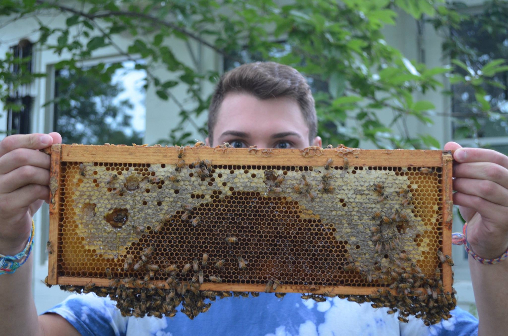 Penn State Beekeepers Club And The Quest To #SaveTheBees | Onward State
