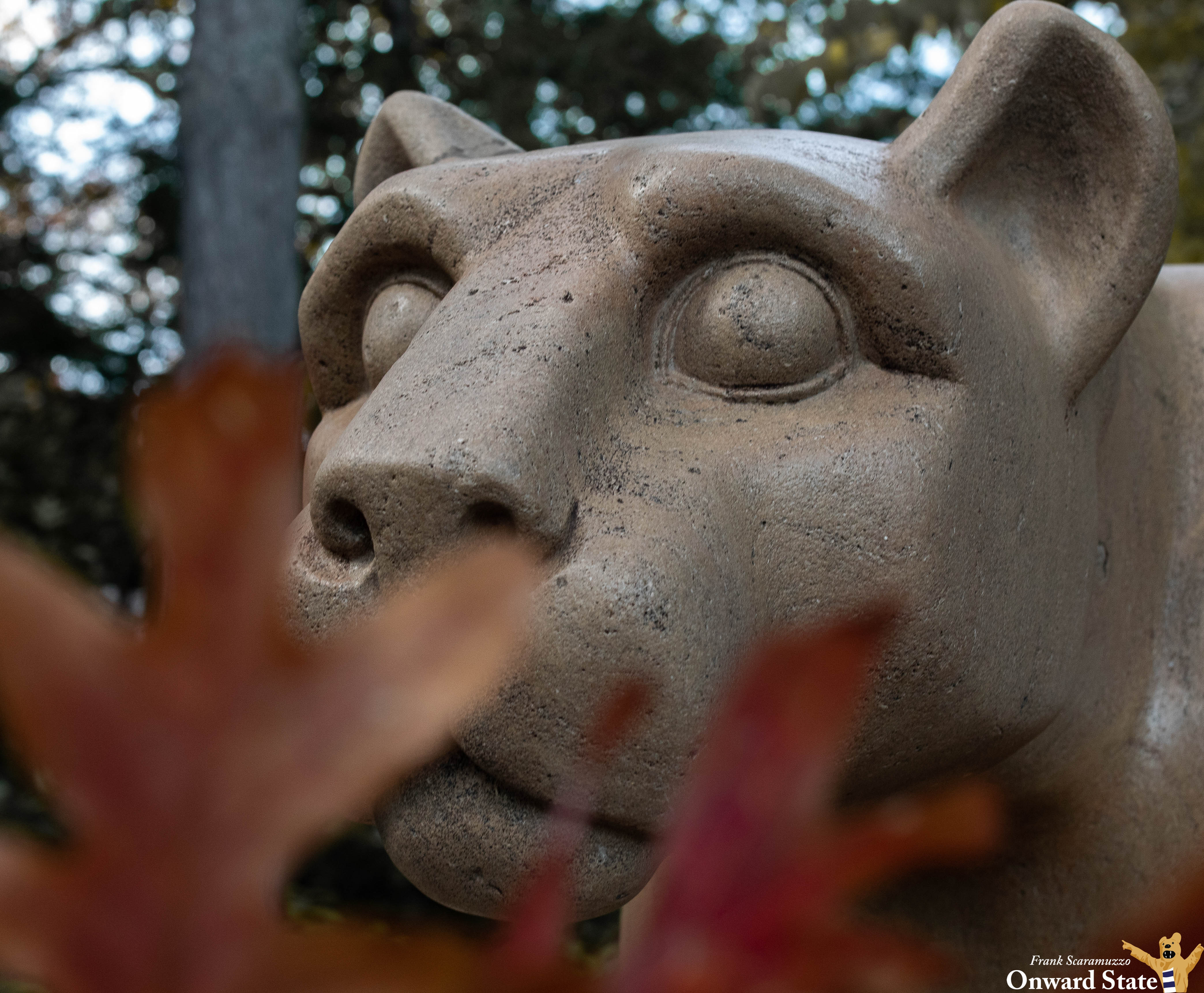[Photo Story] Welcoming Fall Foliage Back To Penn State | Onward State