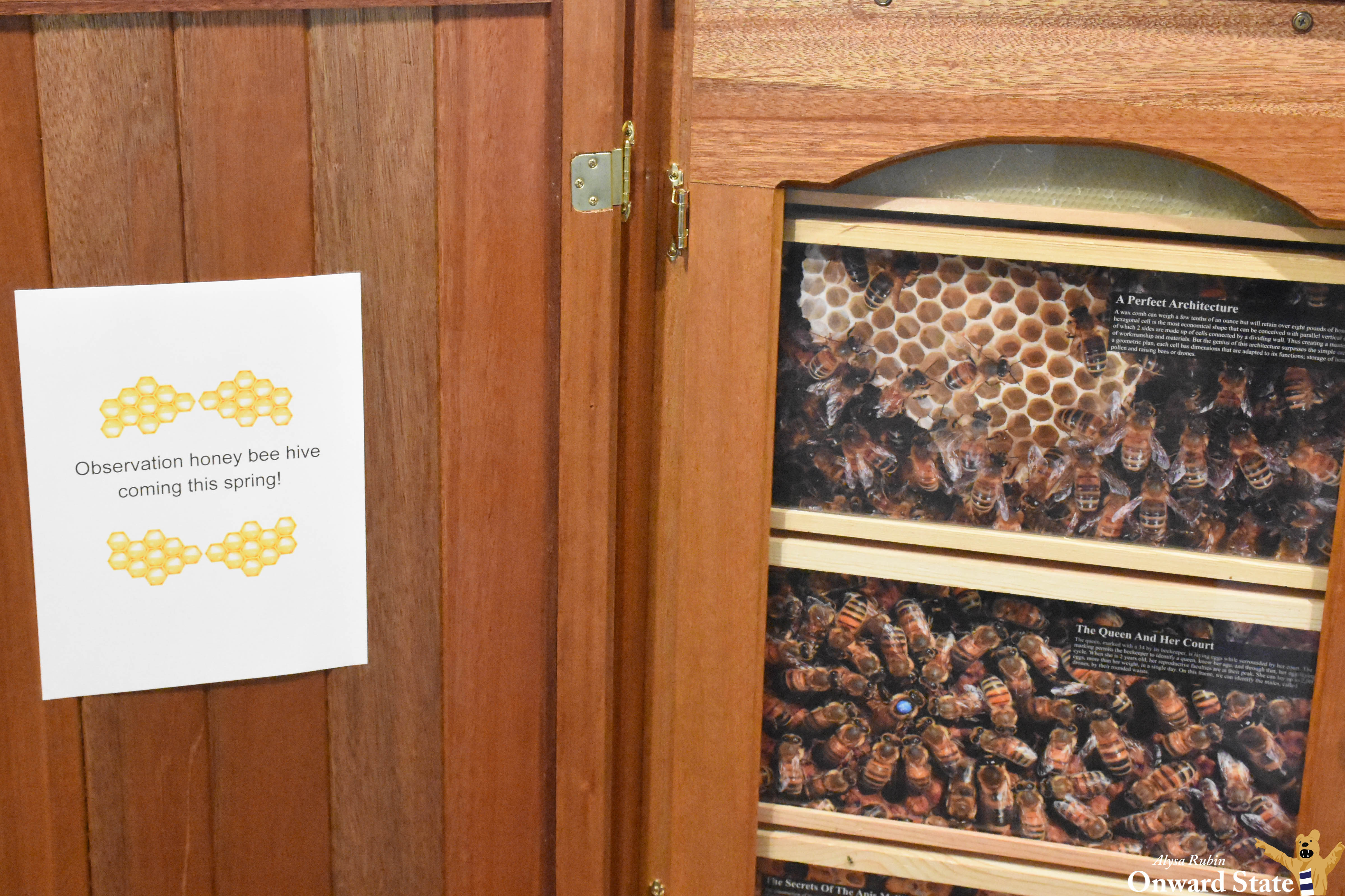 [Photo Story] Getting Buggy At The Frost Entomological Museum | Onward ...