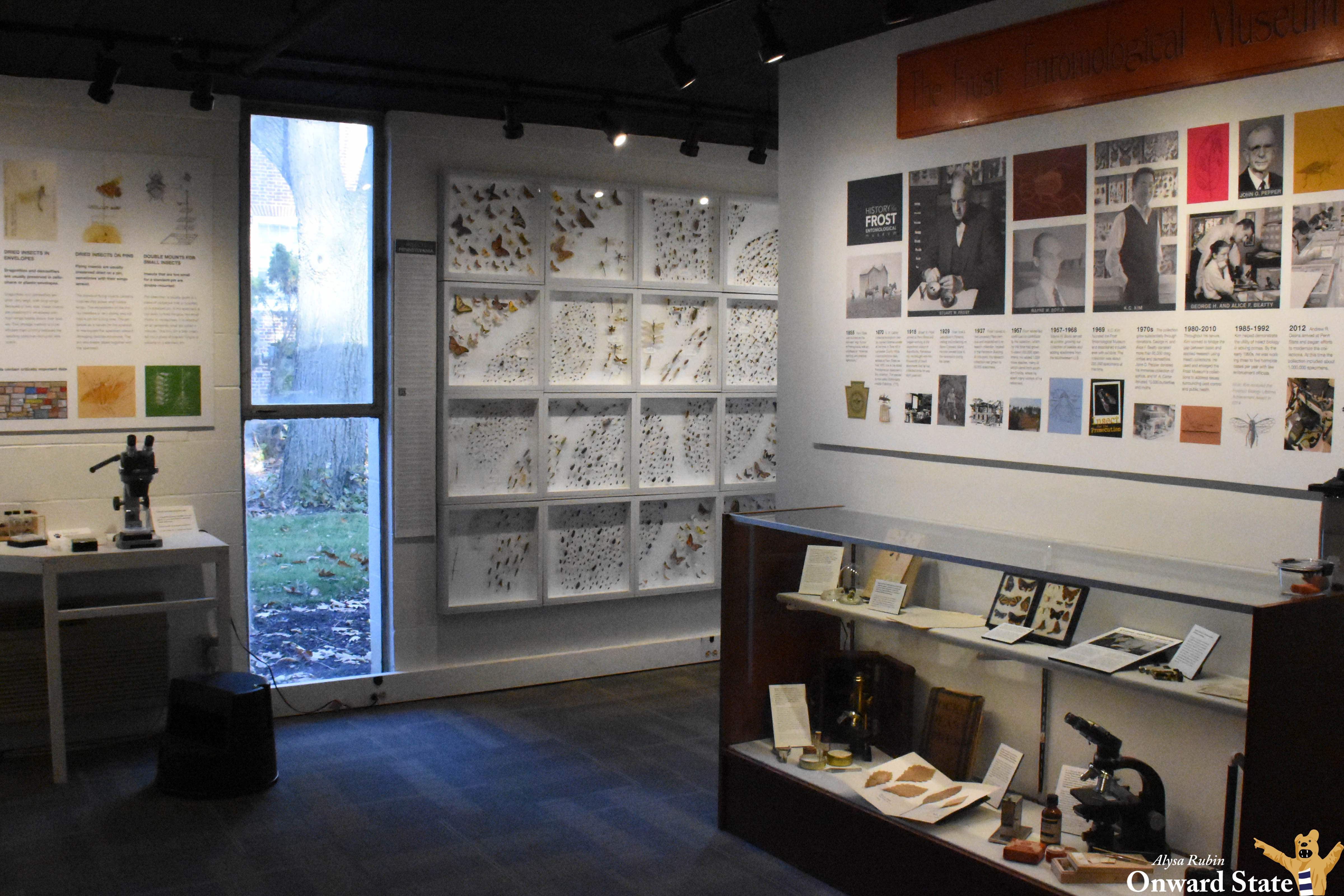 [Photo Story] Getting Buggy At The Frost Entomological Museum | Onward ...