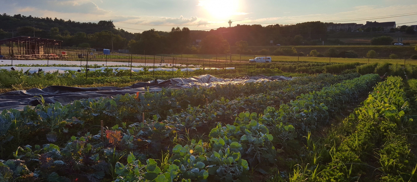 Penn State's Student Farm Is Growing | Onward State