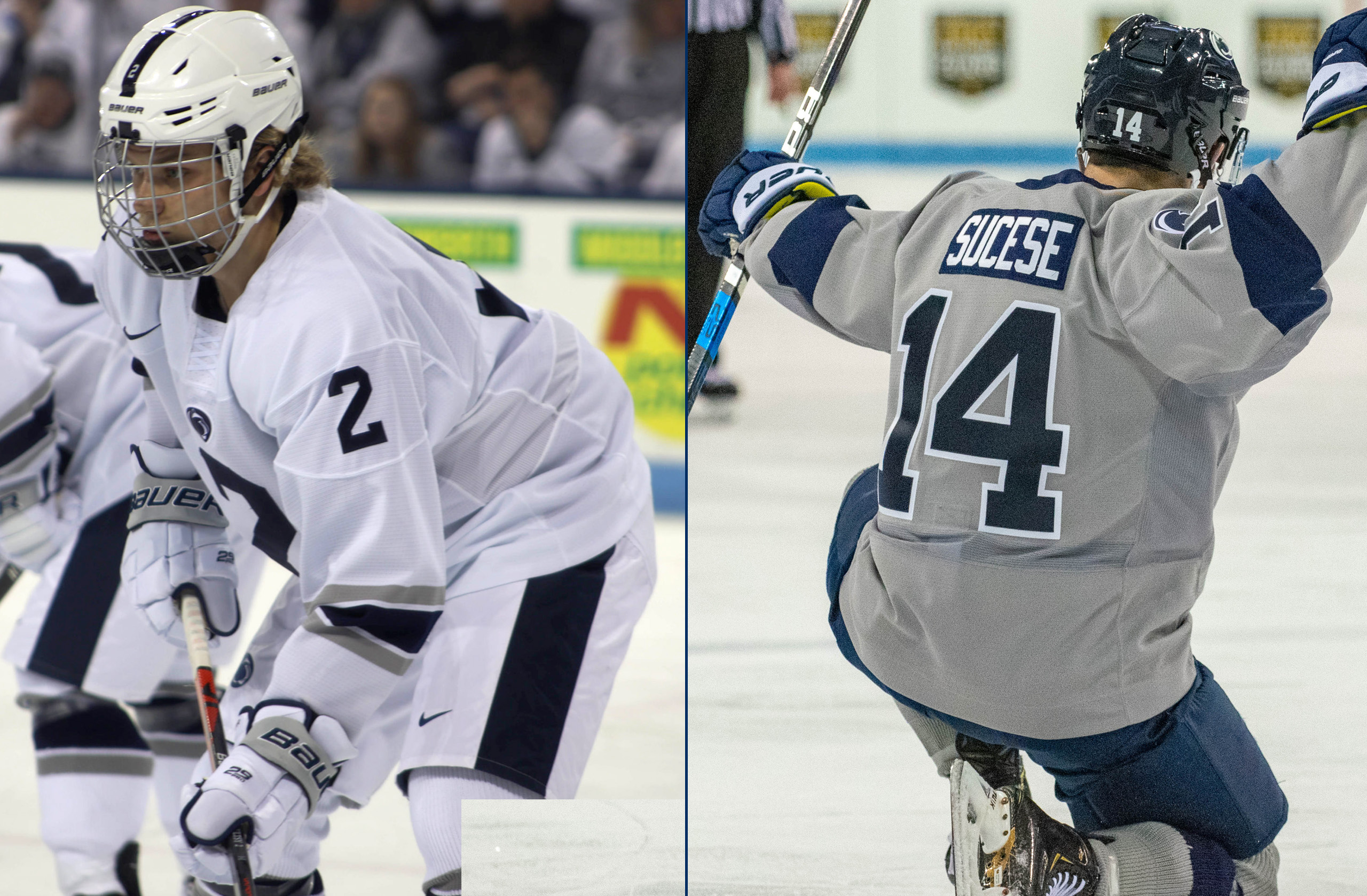 Penn State Hockey's Cole Hults, Nate Sucese Named All-Americans ...