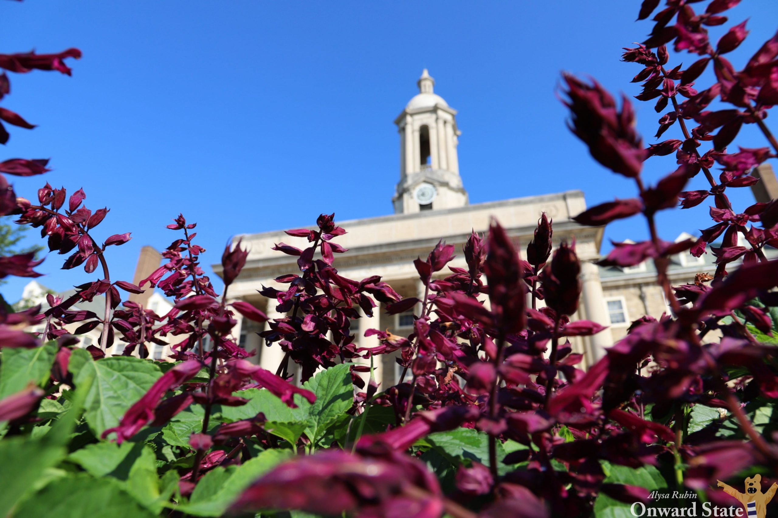 Penn State's Three Spring 'Wellness Days' Are Not Enough | Onward State