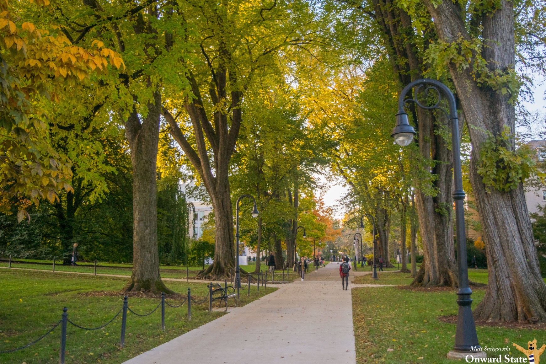 The Best Zoom Interview Spots At Penn State | Onward State