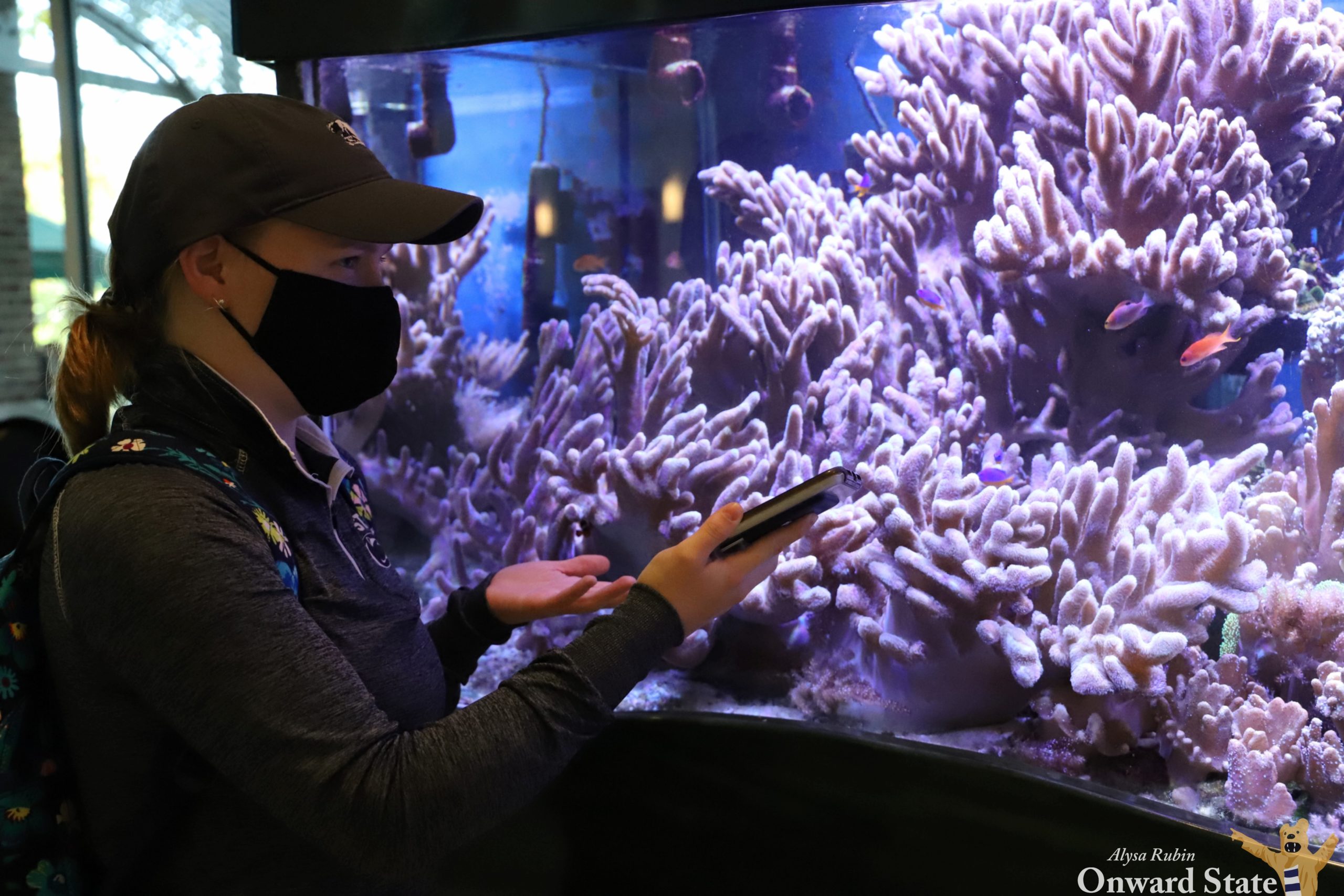 An Exclusive Interview With The HUB Fish | Onward State