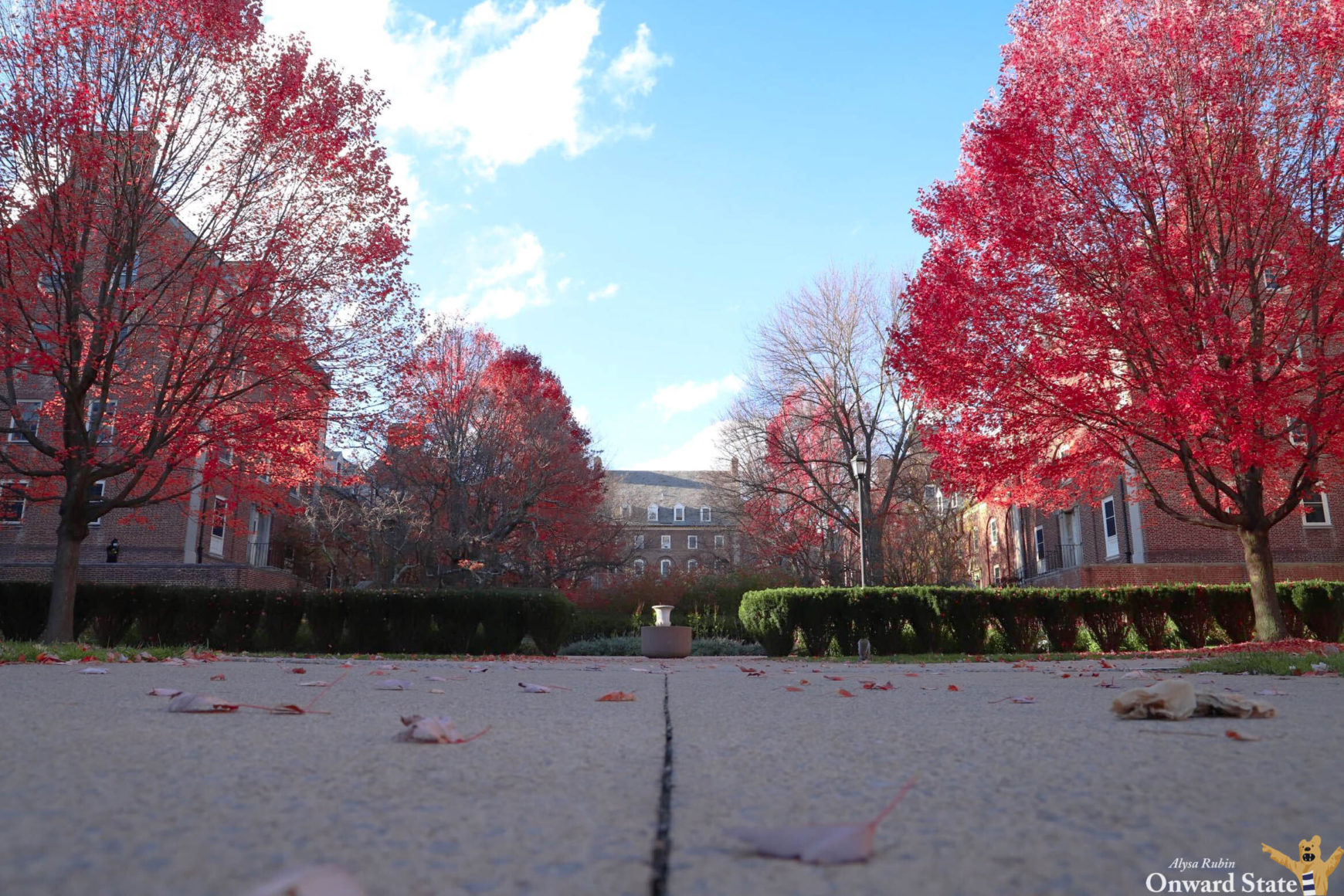 [Photo Story] Penn State From 'A' To 'Z' | Onward State