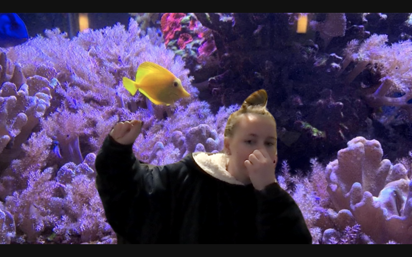 Penn State Zoom Backgrounds To Use During Classes: Part 3 | Onward State