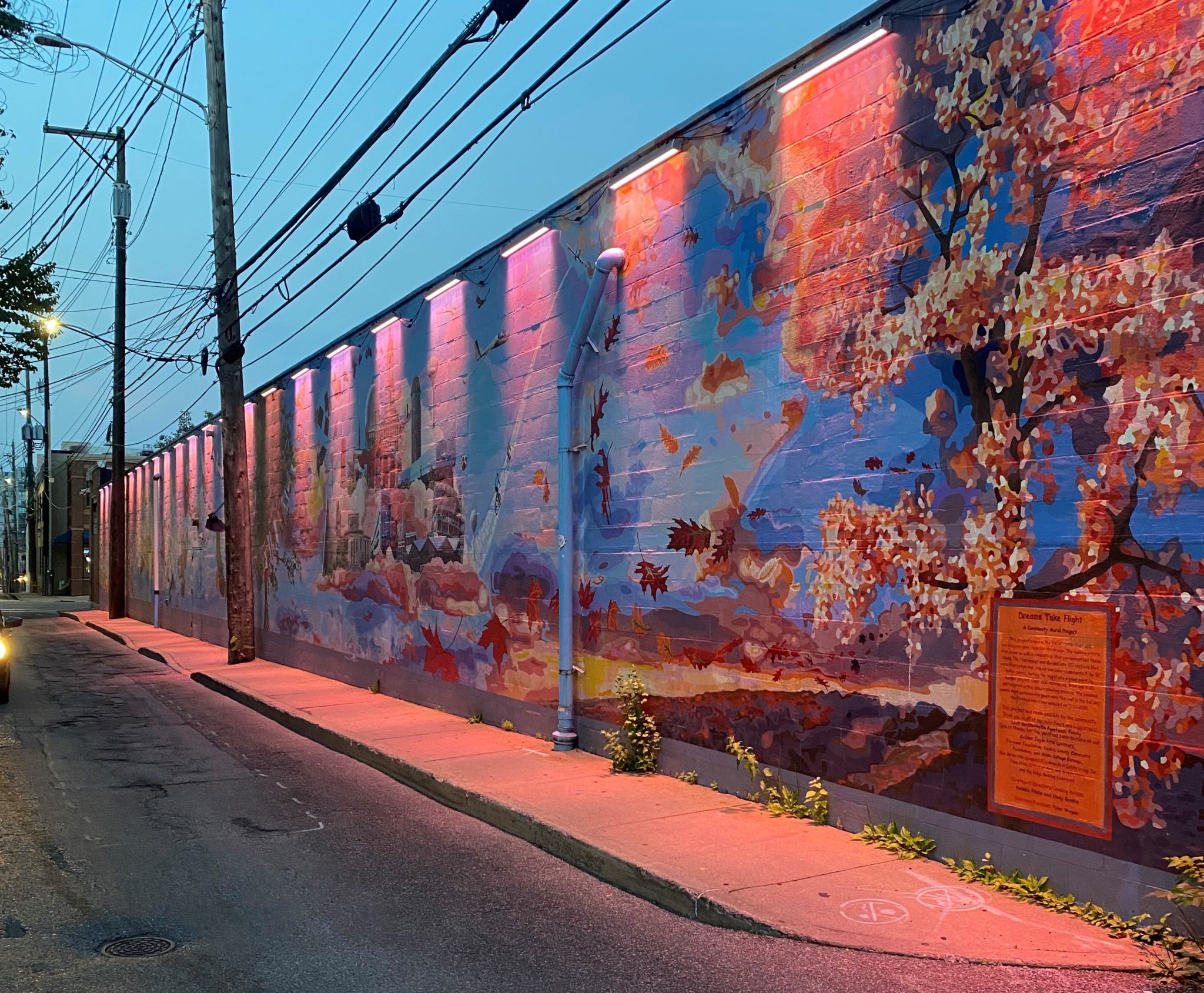 Part-Time Pedestrian Mall With Entertainment, Special Lighting To Open ...