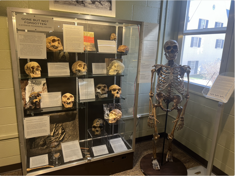 Penn State History Lesson: The Shrunken Heads In The Museum Of ...