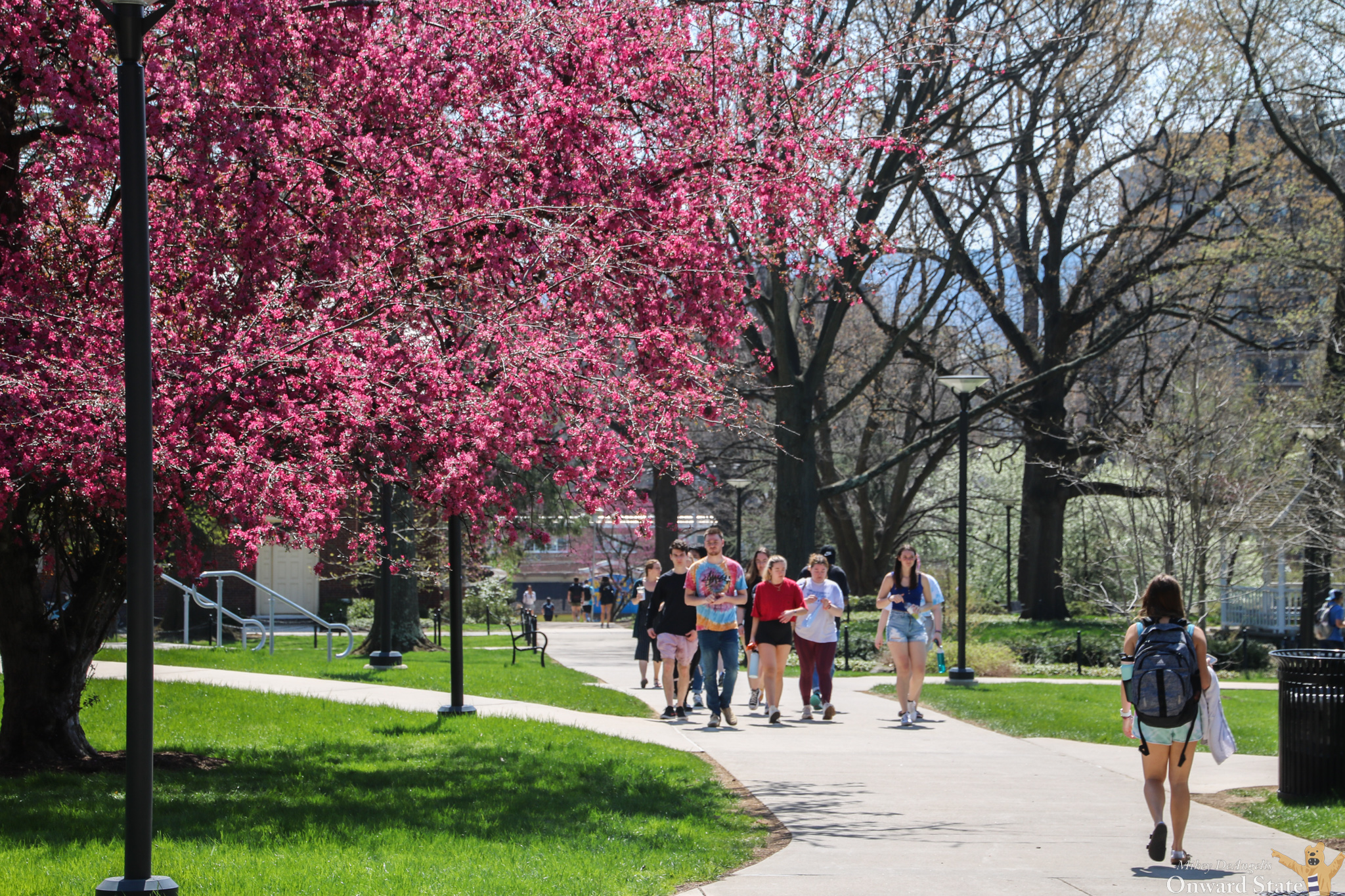 LEAP Mentor Applications Open For Summer 2023 | Onward State