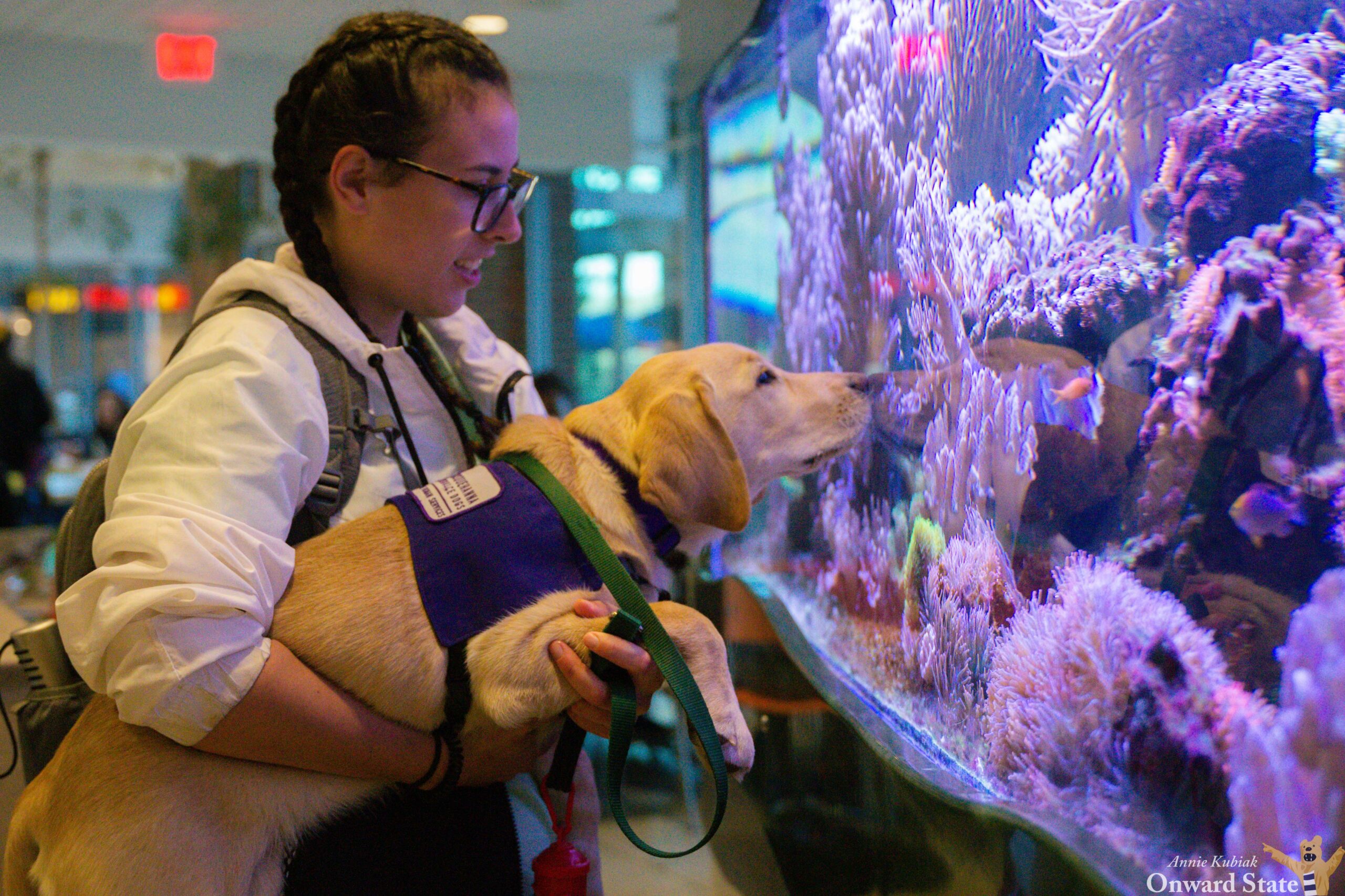 Roar For More: Meet Penn State's Service Dog Training Program | Onward ...