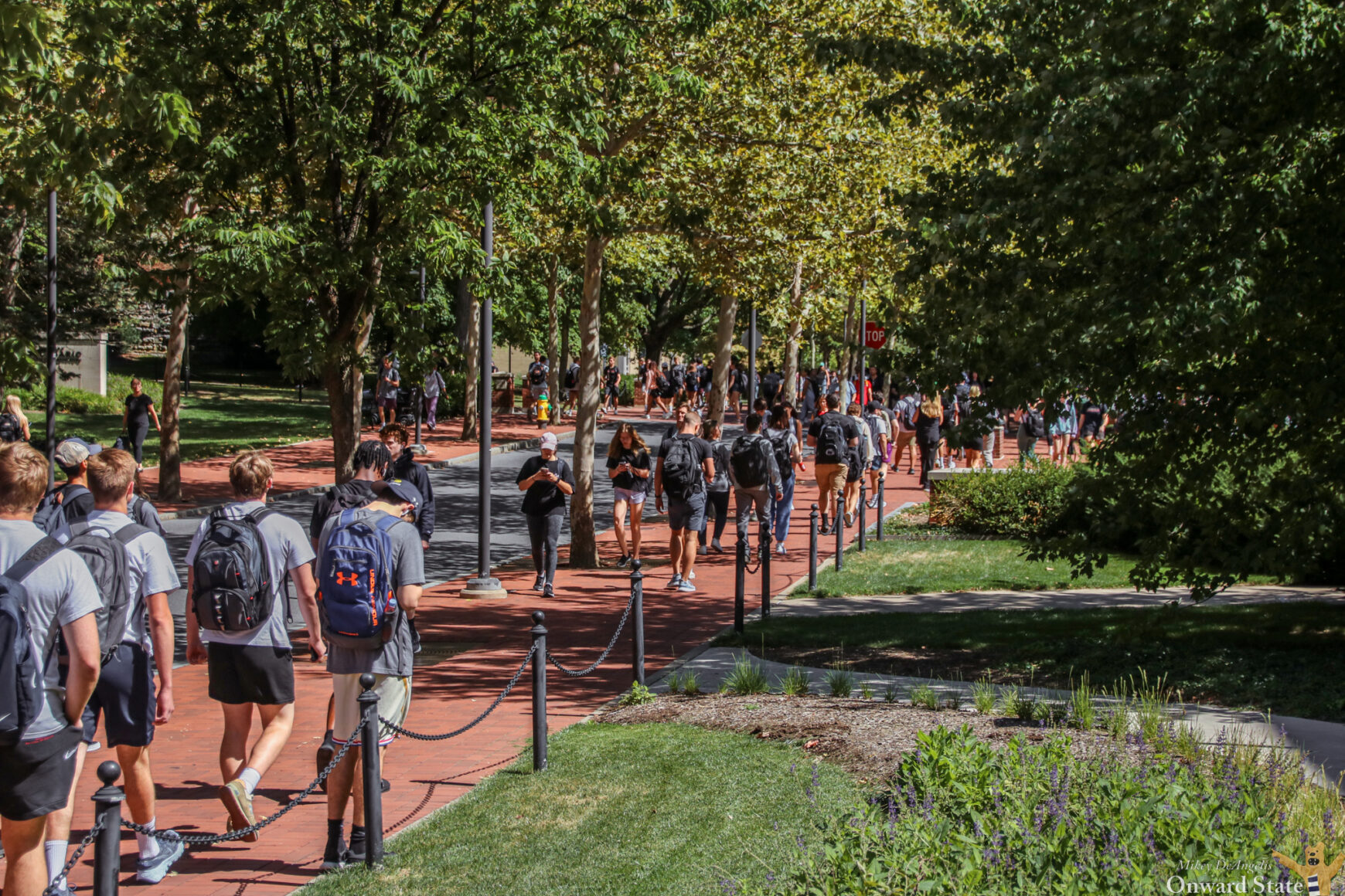 Your Guide To Penn State's 2022 Parents & Families Weekend | Onward State