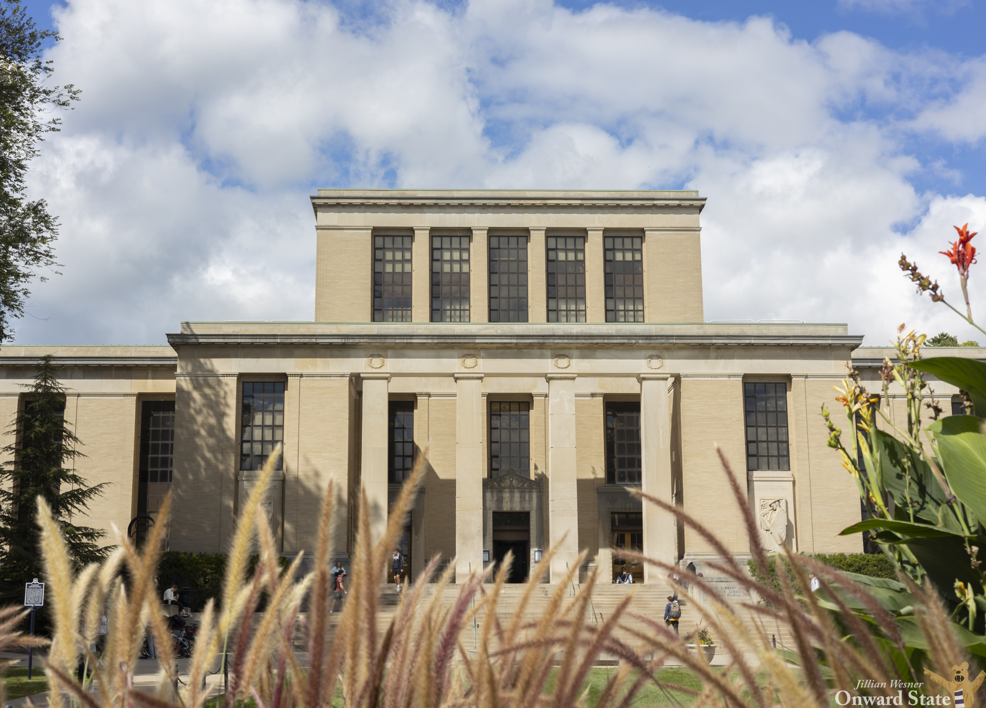 University Libraries To Offer 'Blind Date With A Book' Through February ...