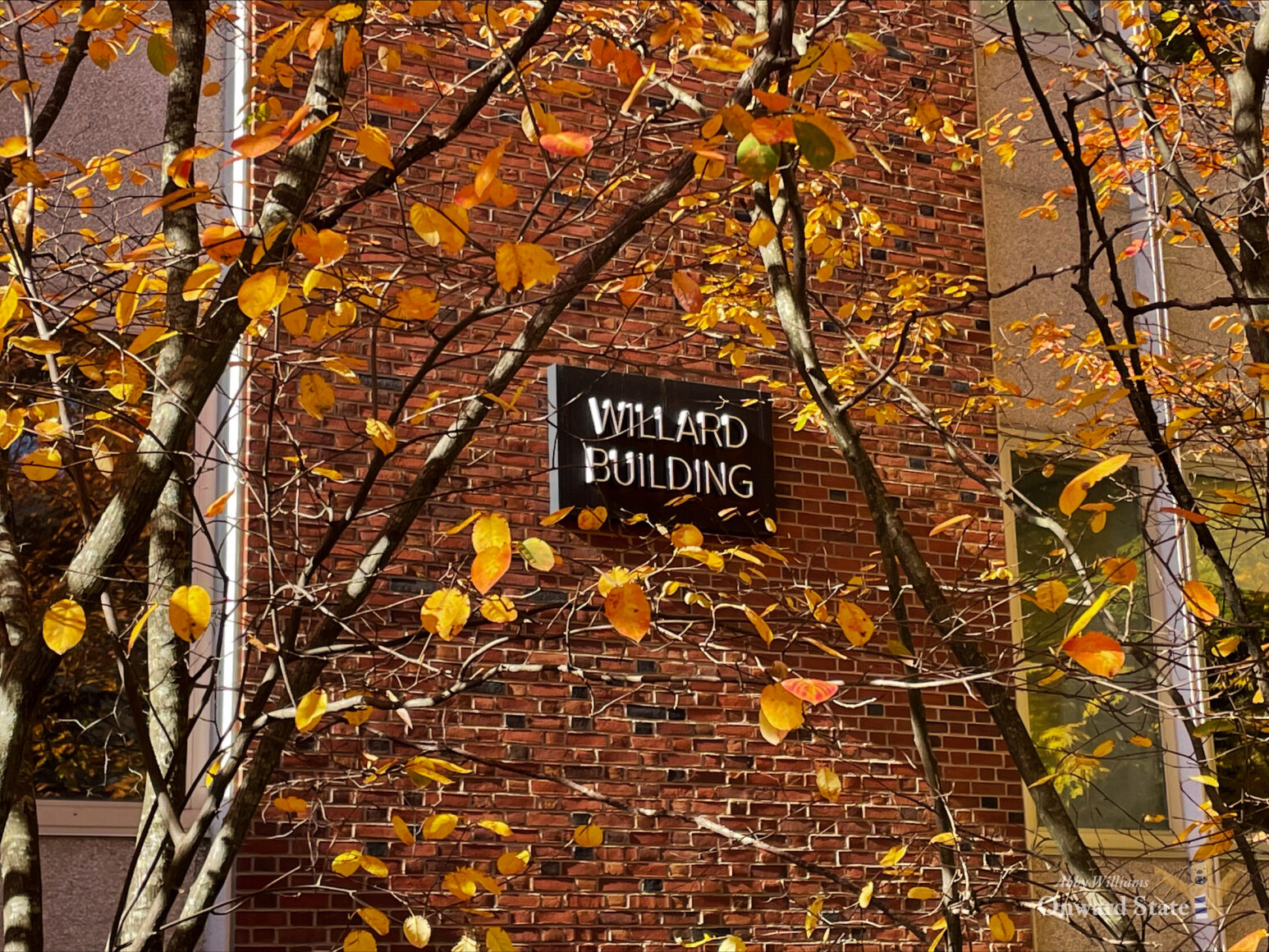 Five Academic Buildings To Stay Open 24/7 For Finals Week | Onward State