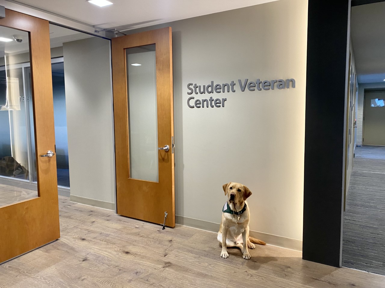 Penn State Office Of Veterans Programs Uplifts Military-Affiliated ...