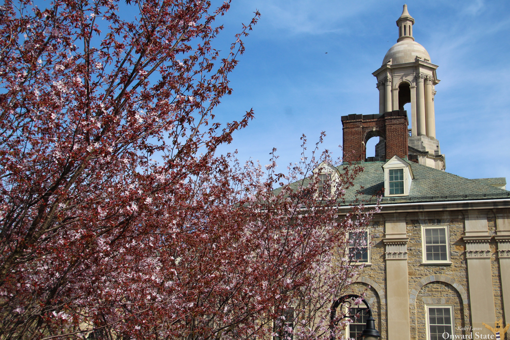 OS Drafts: The Best Things About Spring In Happy Valley | Onward State