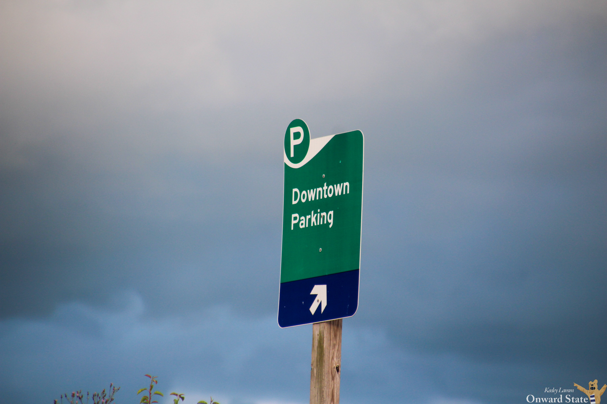 State College Borough Announces Parking Enforcement Changes for State ...