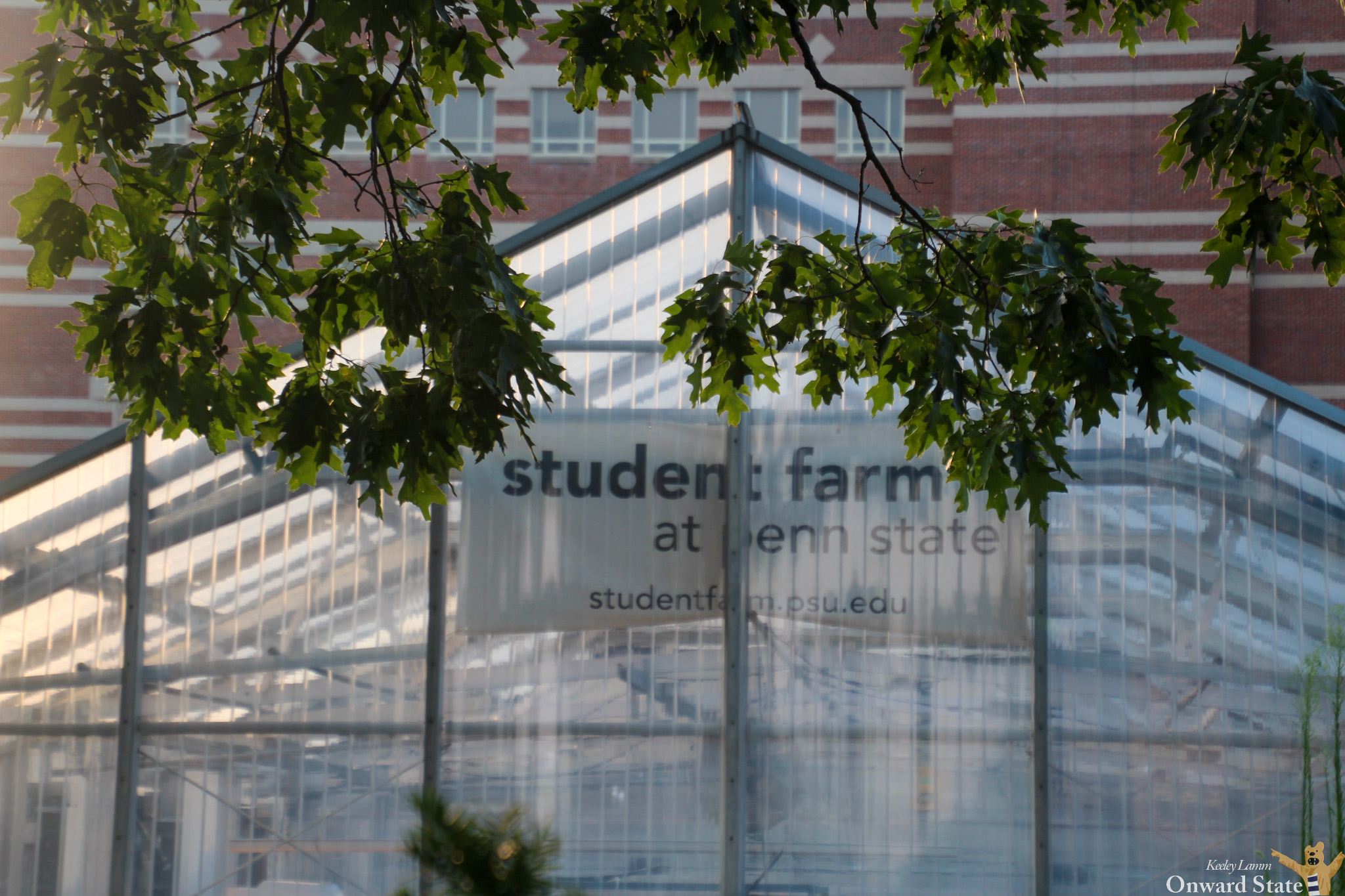 2025 Class Gift To Renovate East Gateway At Ross Student Farm | Onward ...