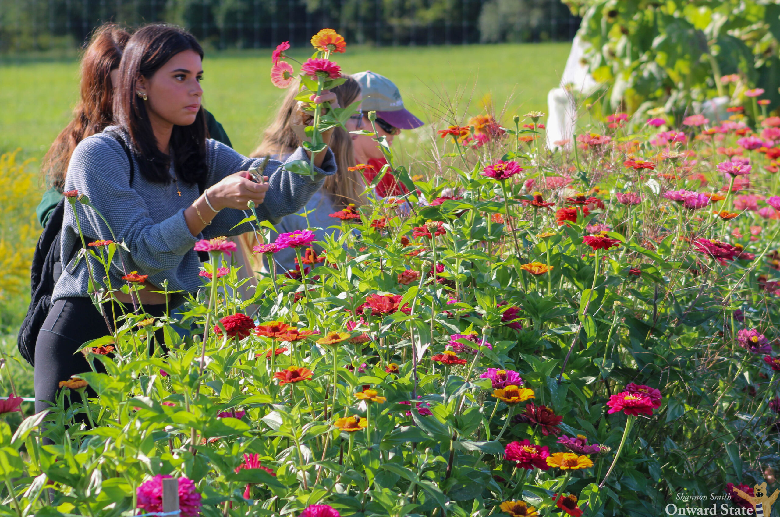 [Photo Story] A Look Through Penn State Student Farm Club’s Harvest ...