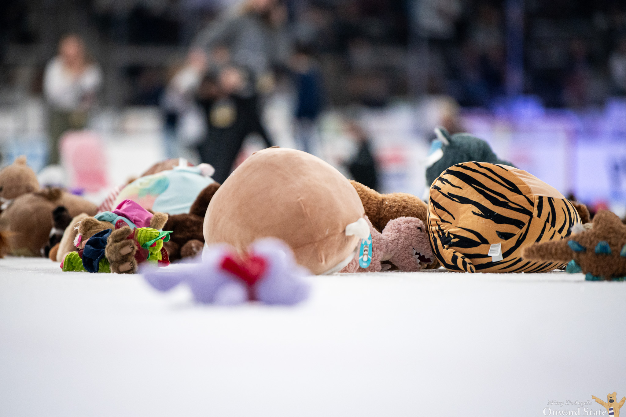 [Photo Story] Penn State Men's Hockey's Annual Teddy Bear Toss | Onward ...