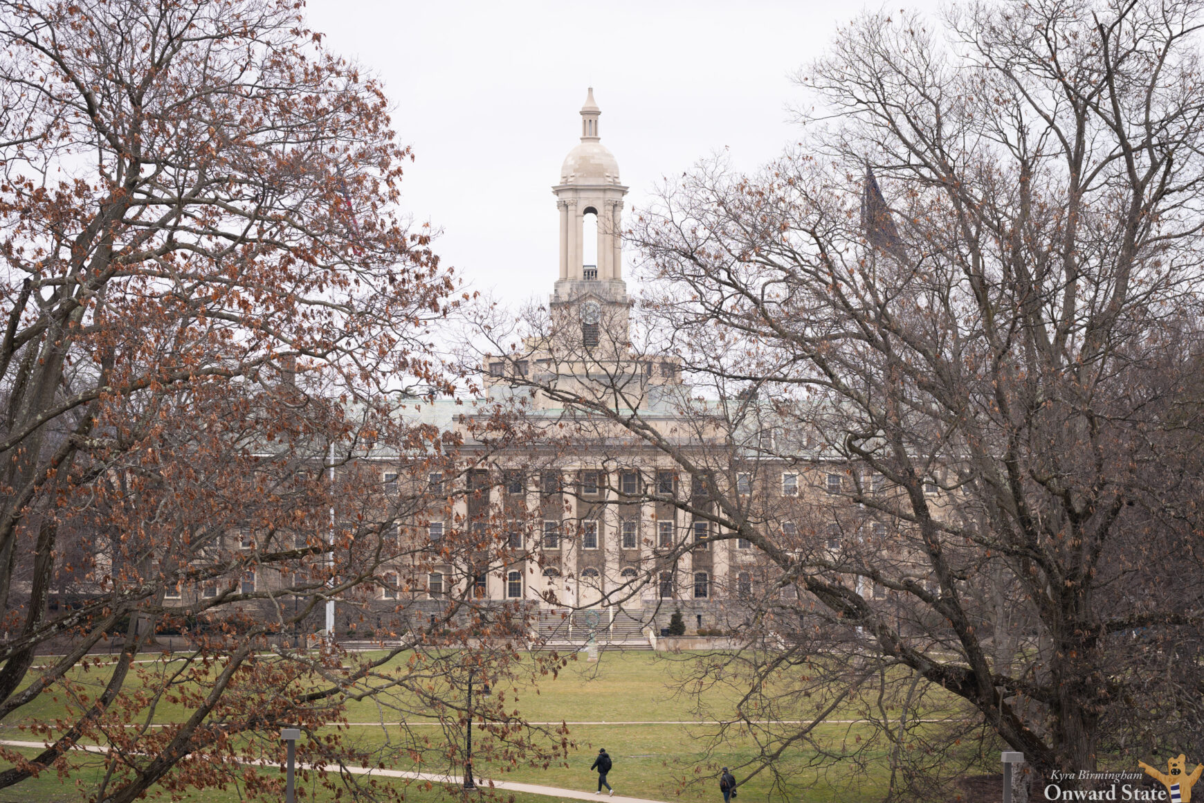 LionPATH Releases New Class Search Update For Students | Onward State