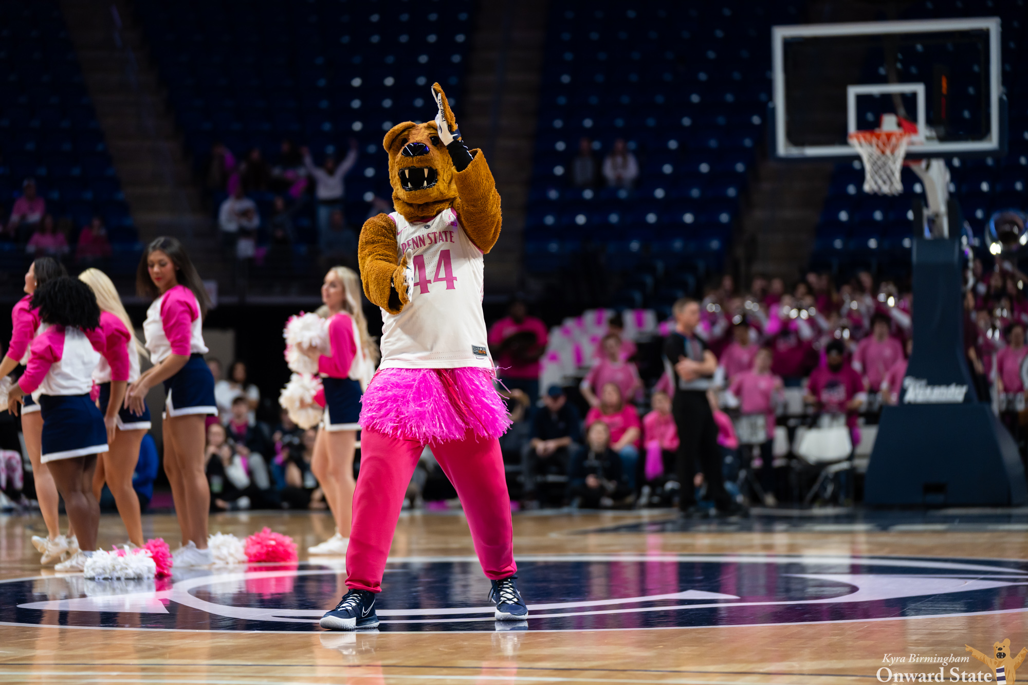 Lady Lions Reflect On Importance Of Pink Zone Game | Onward State
