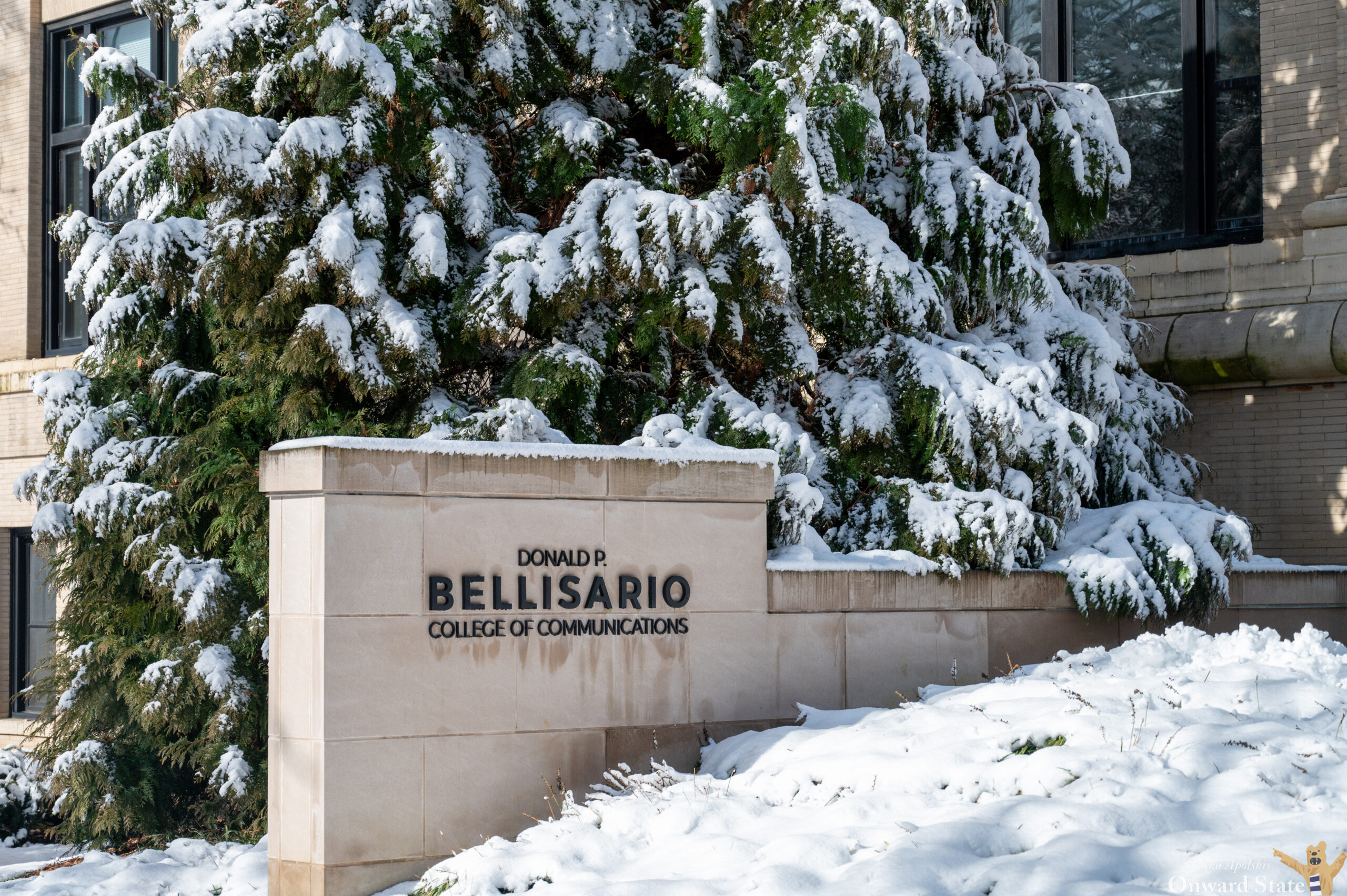 Staff Picks: Potential Replacements For Outgoing Bellisario College Of ...