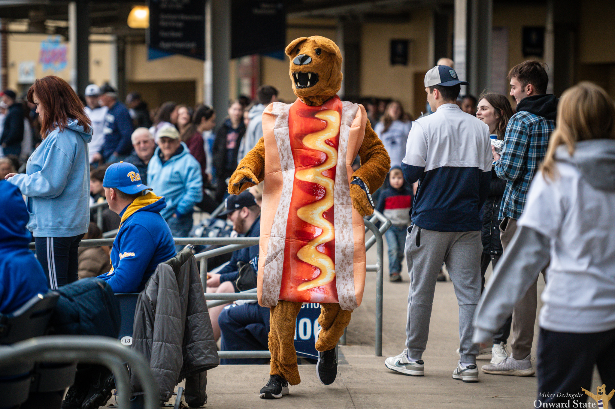 Rating Hot Dogs At Every Penn State Athletics Venue | Onward State