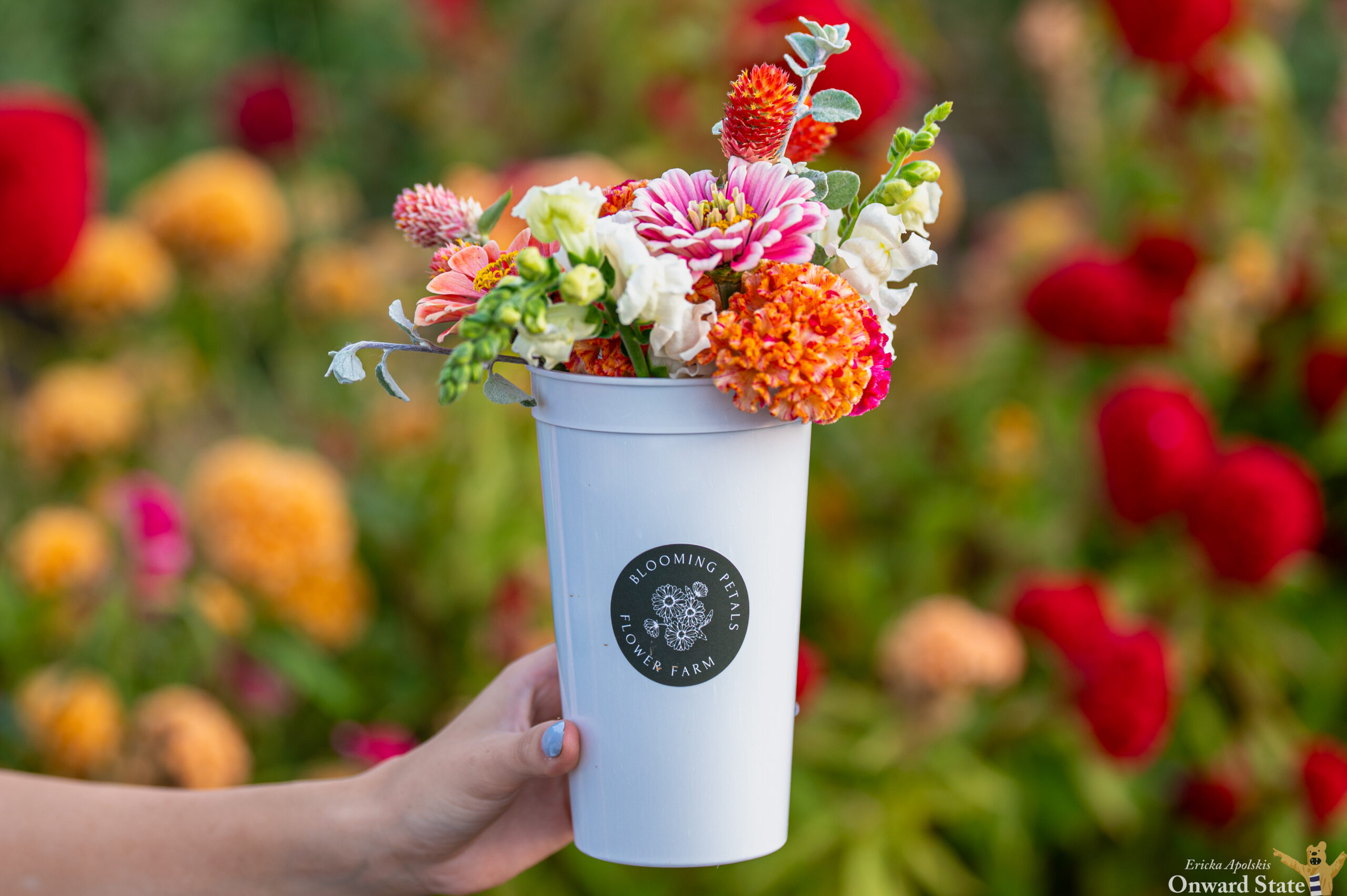 [Photo Story] Blooming Petals Flower Farm In Bellefonte | Onward State