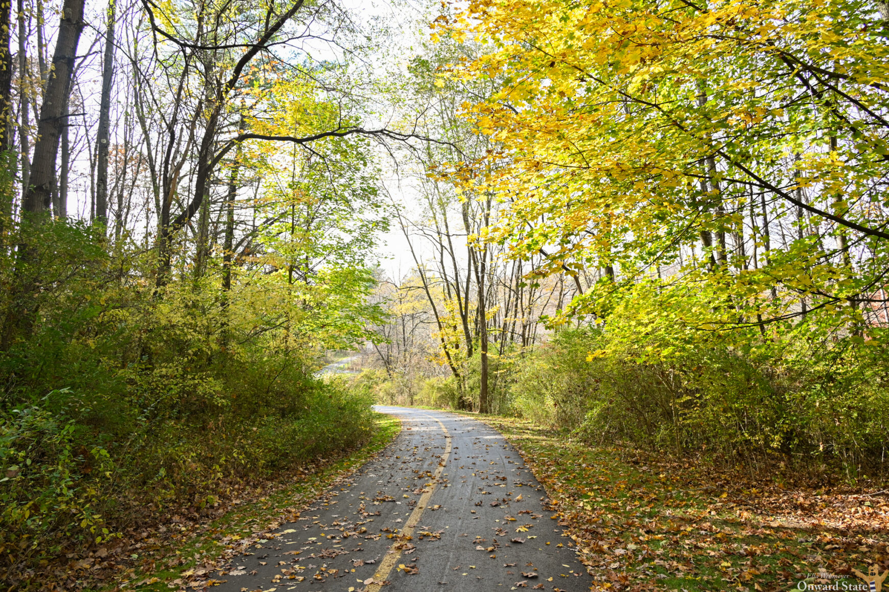[Photo Story] Penn State Arboretum Trails | Onward State