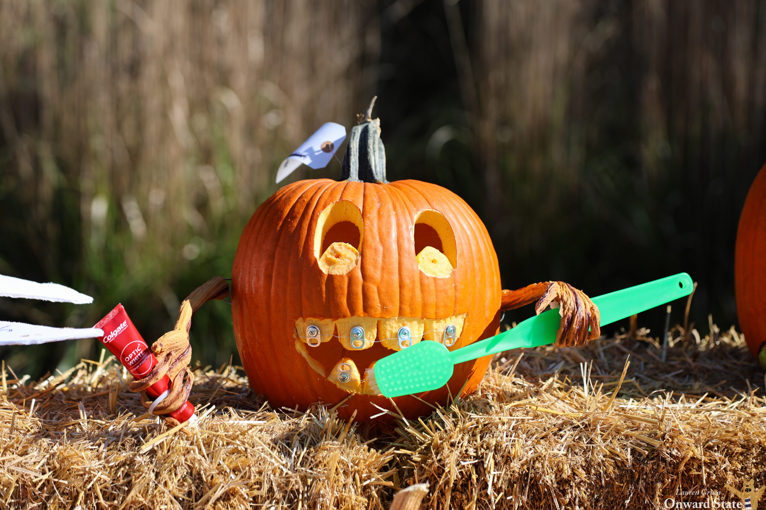 [Photo Story] Arboretum Hosts 2024 Pumpkin Festival | Onward State