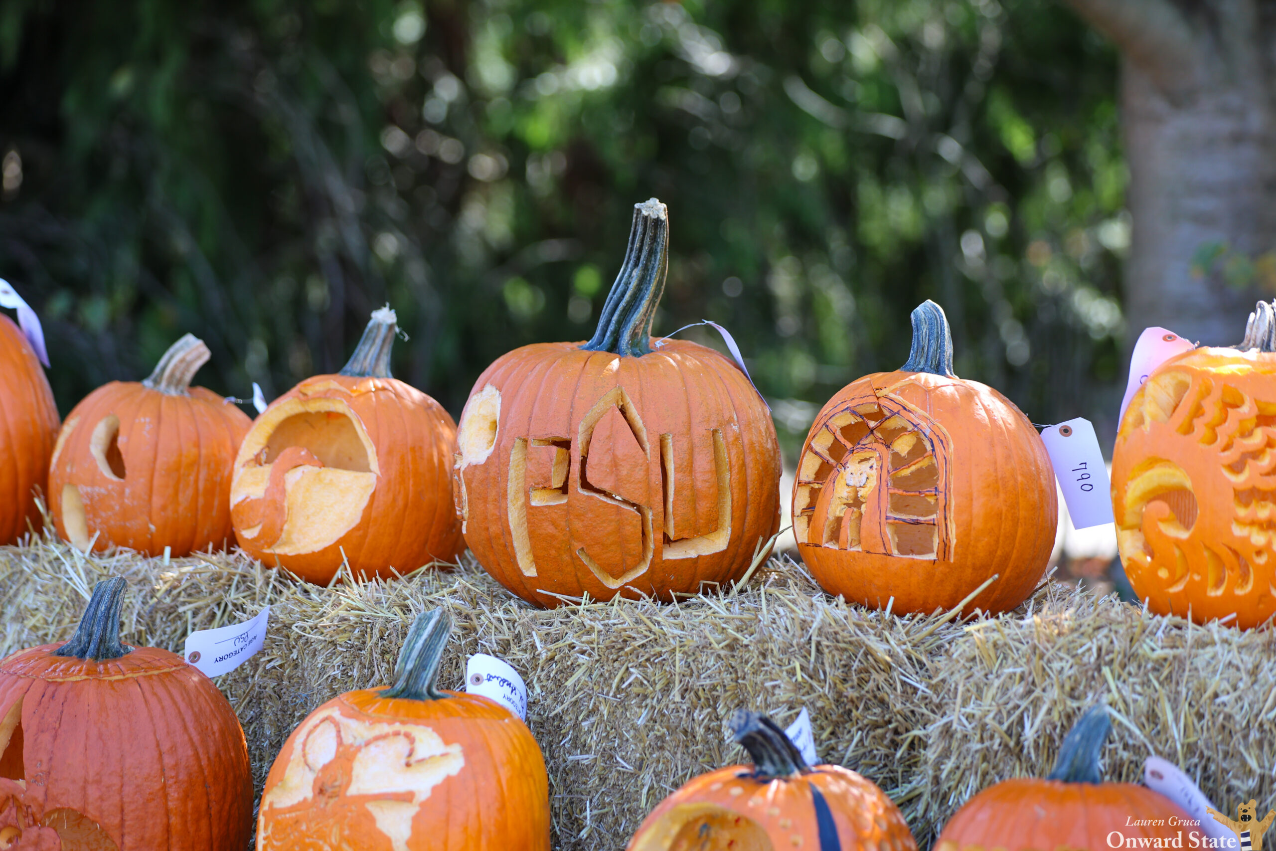 [Photo Story] Arboretum Hosts 2024 Pumpkin Festival | Onward State