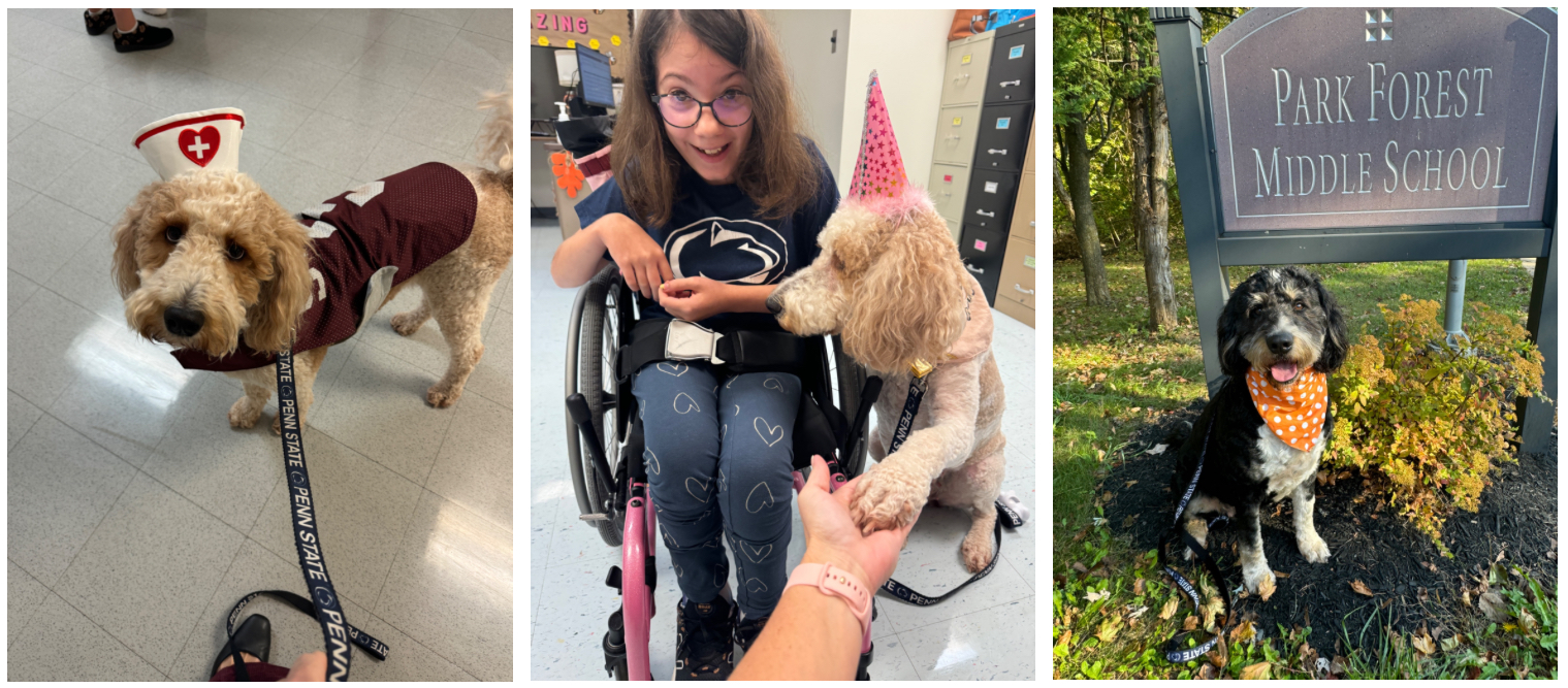 More Than Man’s Best Friend: Founder of Happy Valley Doodles Finding ...